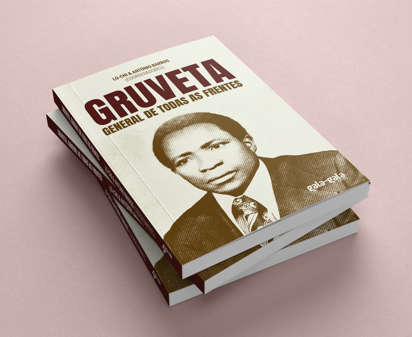 Domela acolhe lançamento do Livro de Homenagem ao General Bonifácio ...